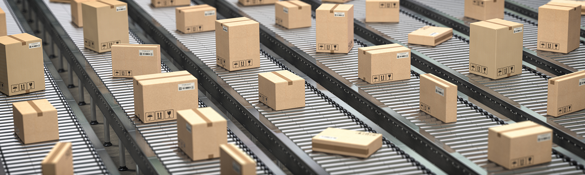 The Backbone of Packaging: Conveyor Systems