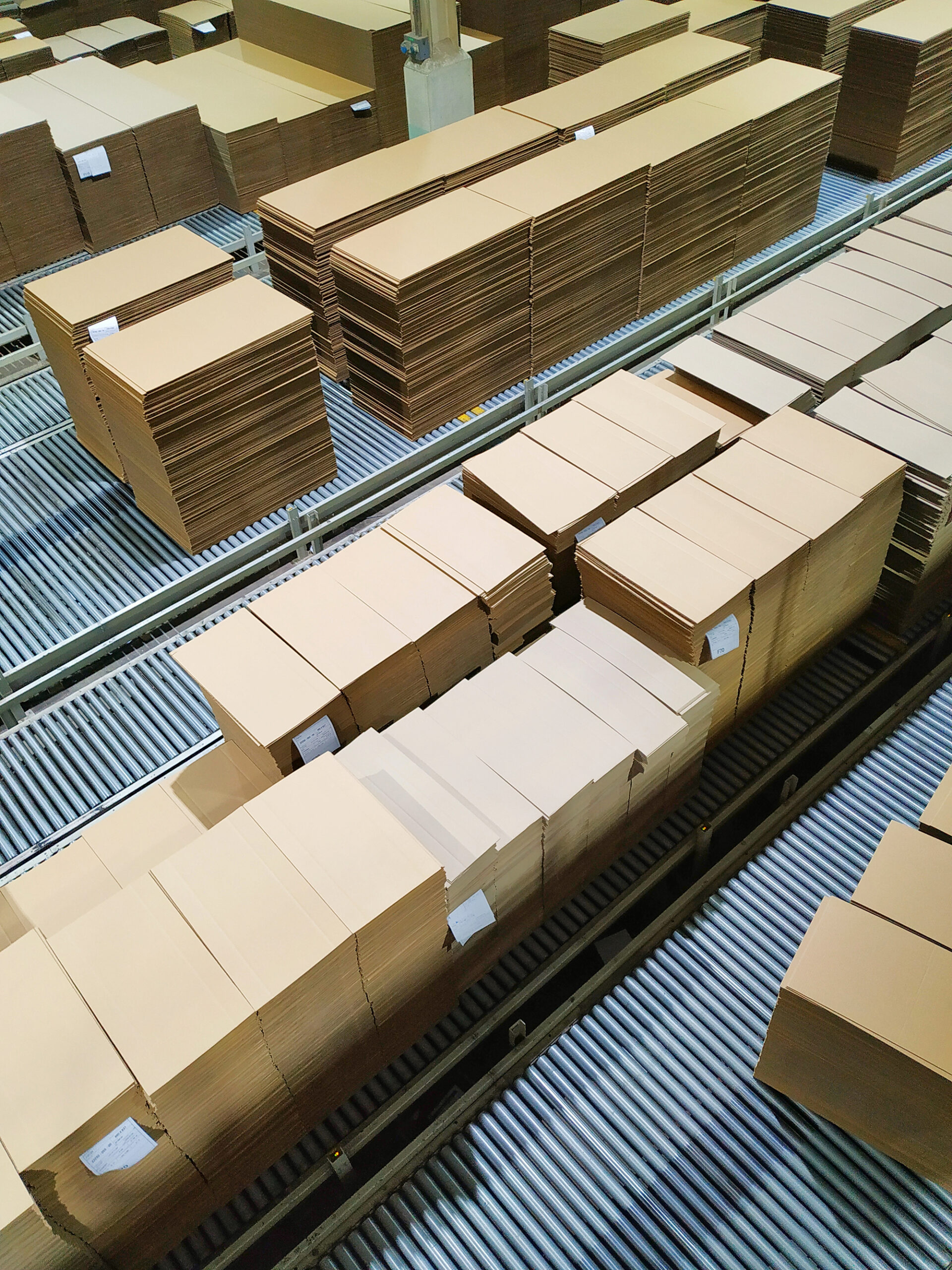 The Backbone of Packaging: Conveyor Systems