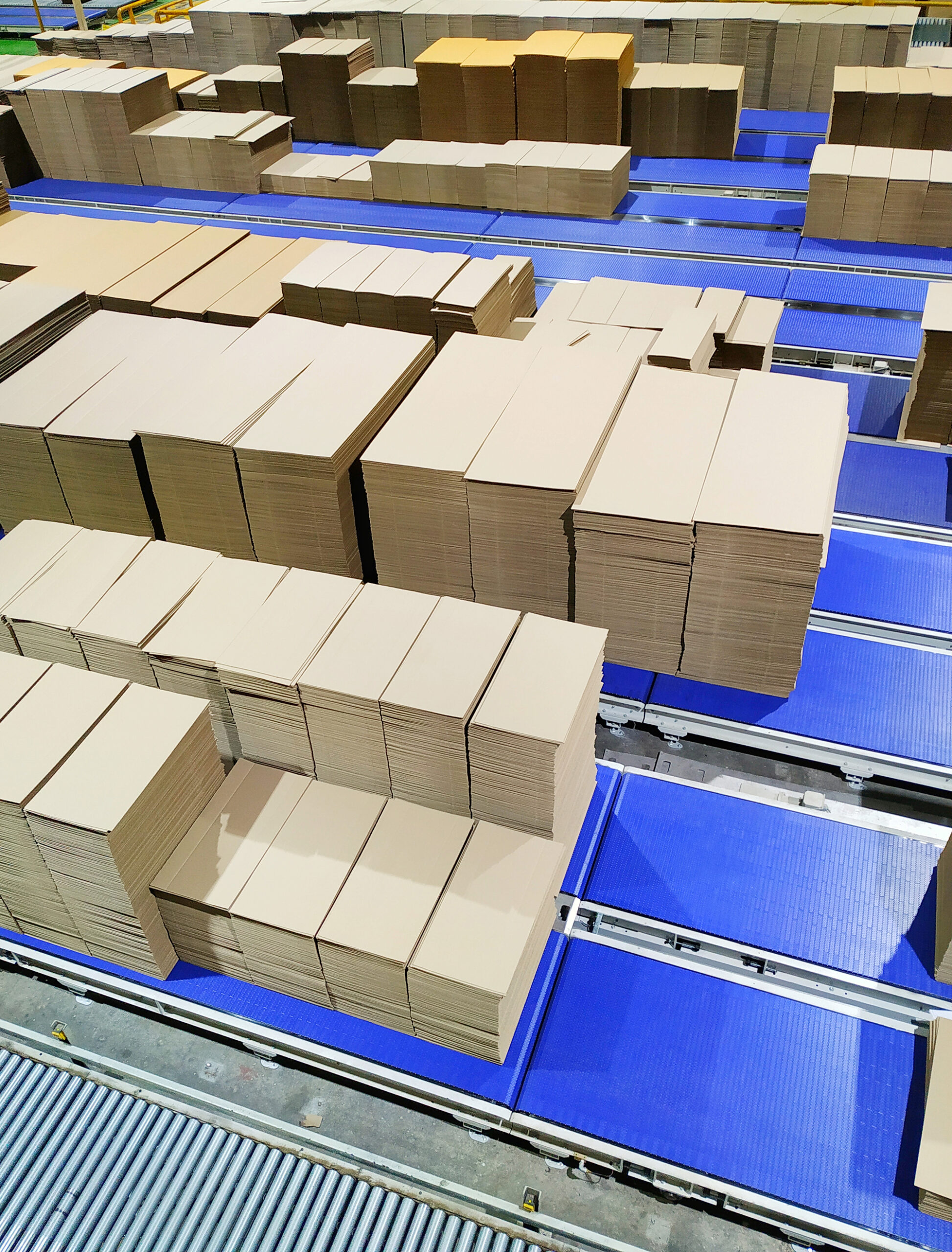 The Backbone of Packaging: Conveyor Systems