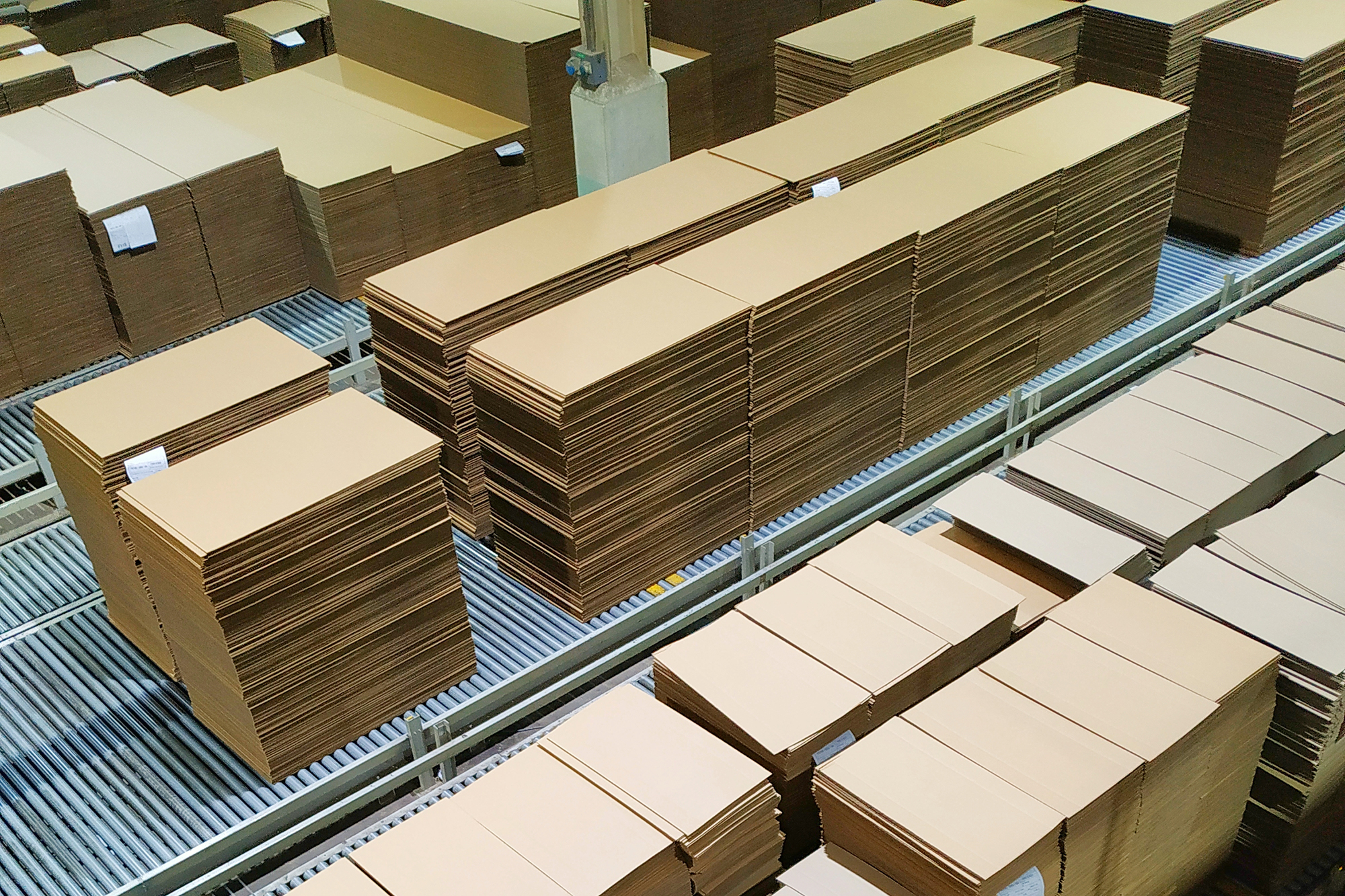 The Backbone of Packaging: Conveyor Systems