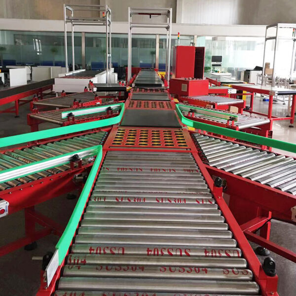 How does the Sorting Conveyor System work for Cartons?